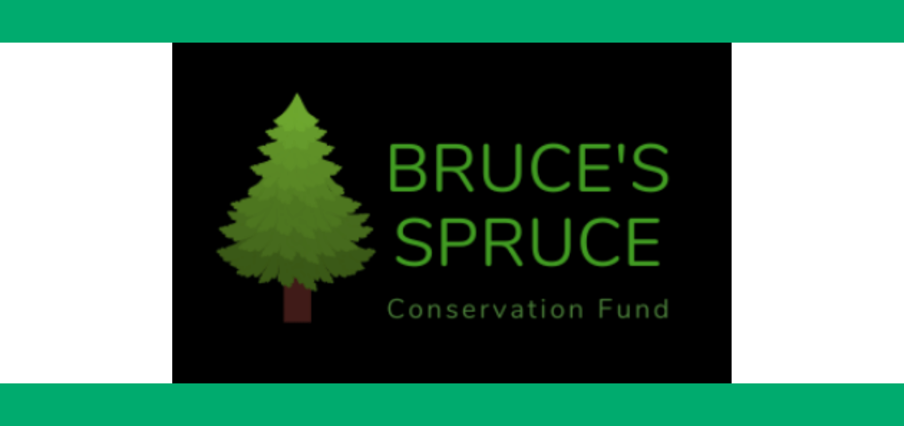 Bruce’s Spruce Conservation Fund – Edmonton Community Foundation