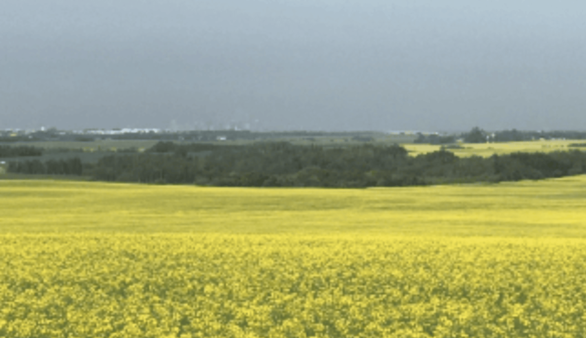 Michelle and Ken Craig Legacy Fund | Edmonton Community Foundation