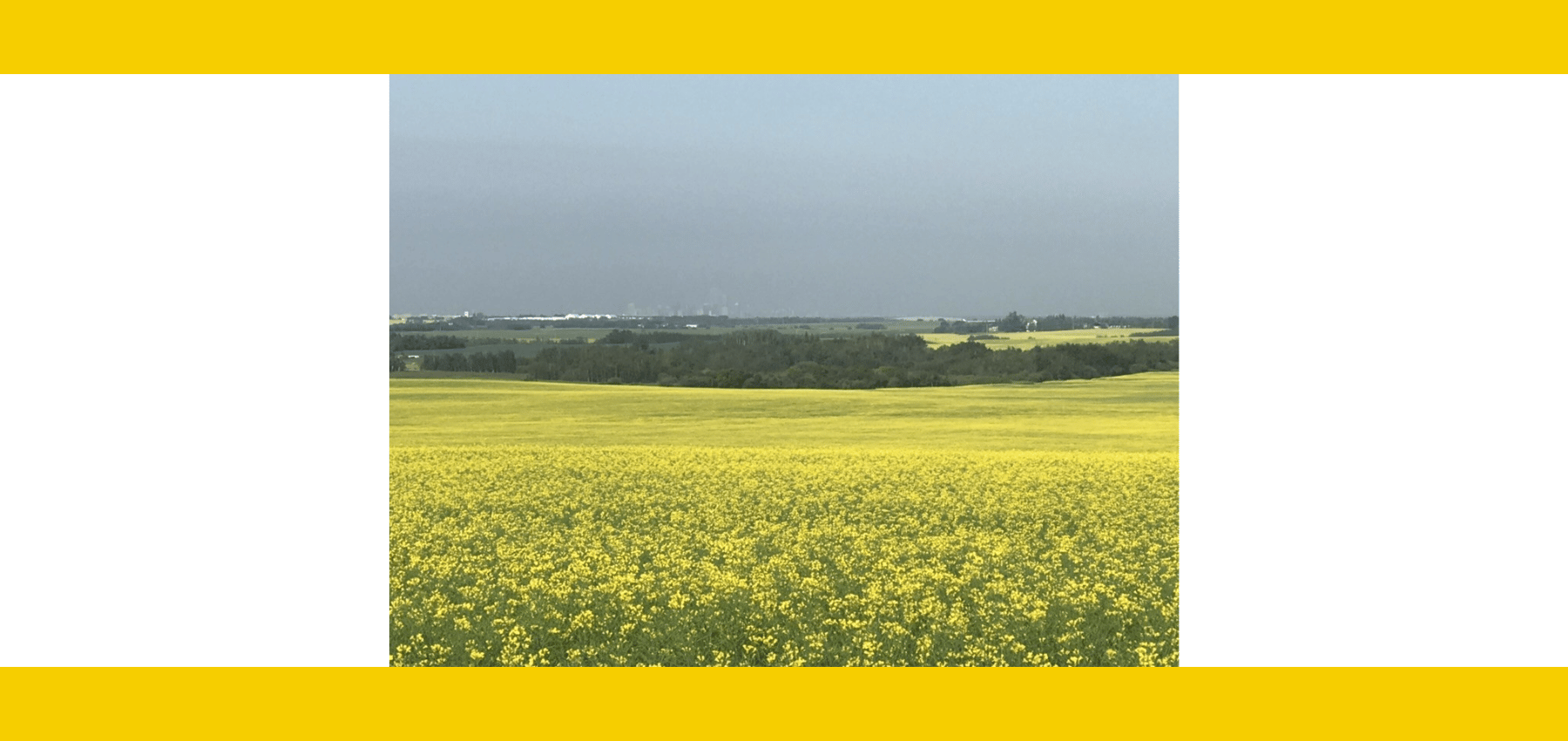 Michelle and Ken Craig Legacy Fund – Edmonton Community Foundation